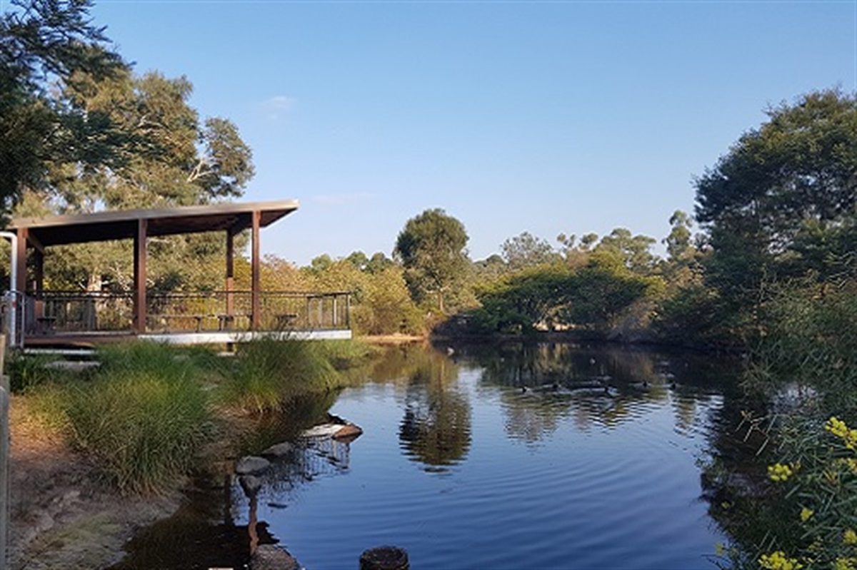 Dam Shelter - Edendale Community Environment Farm